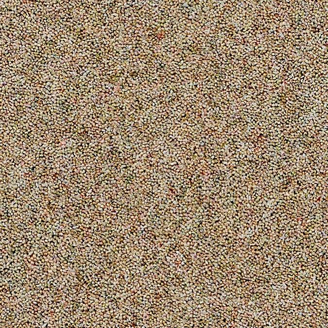 Camel in Dimensions Heathers 40 | Brockway Carpets