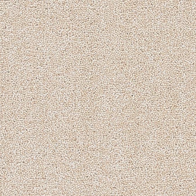 Champagne in Dimensions Plain 50 | Brockway Carpets