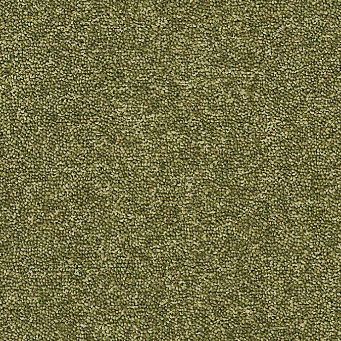 Moss in Dimensions Plain 40 | Brockway Carpets