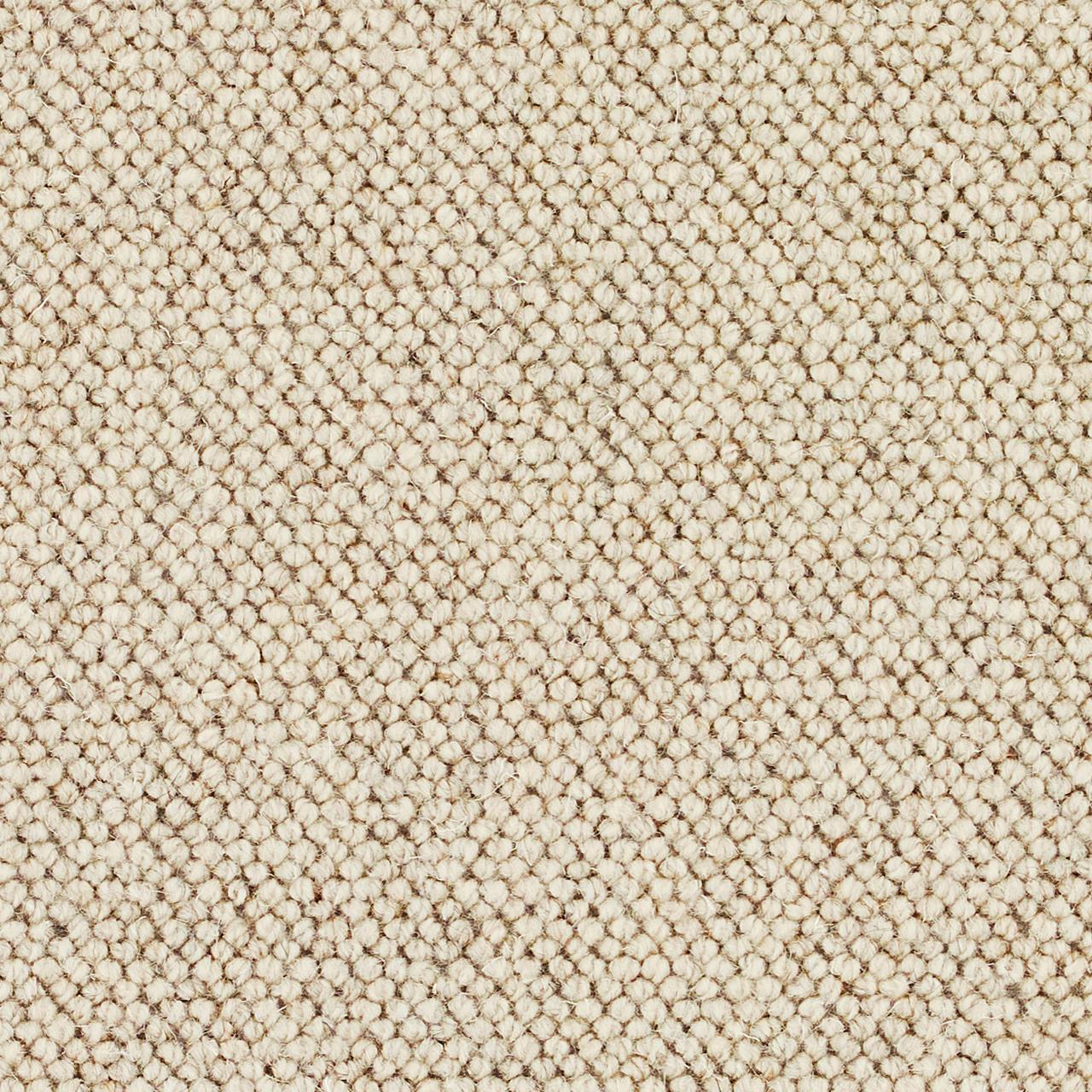 Scout in Discovery | Brockway Carpets