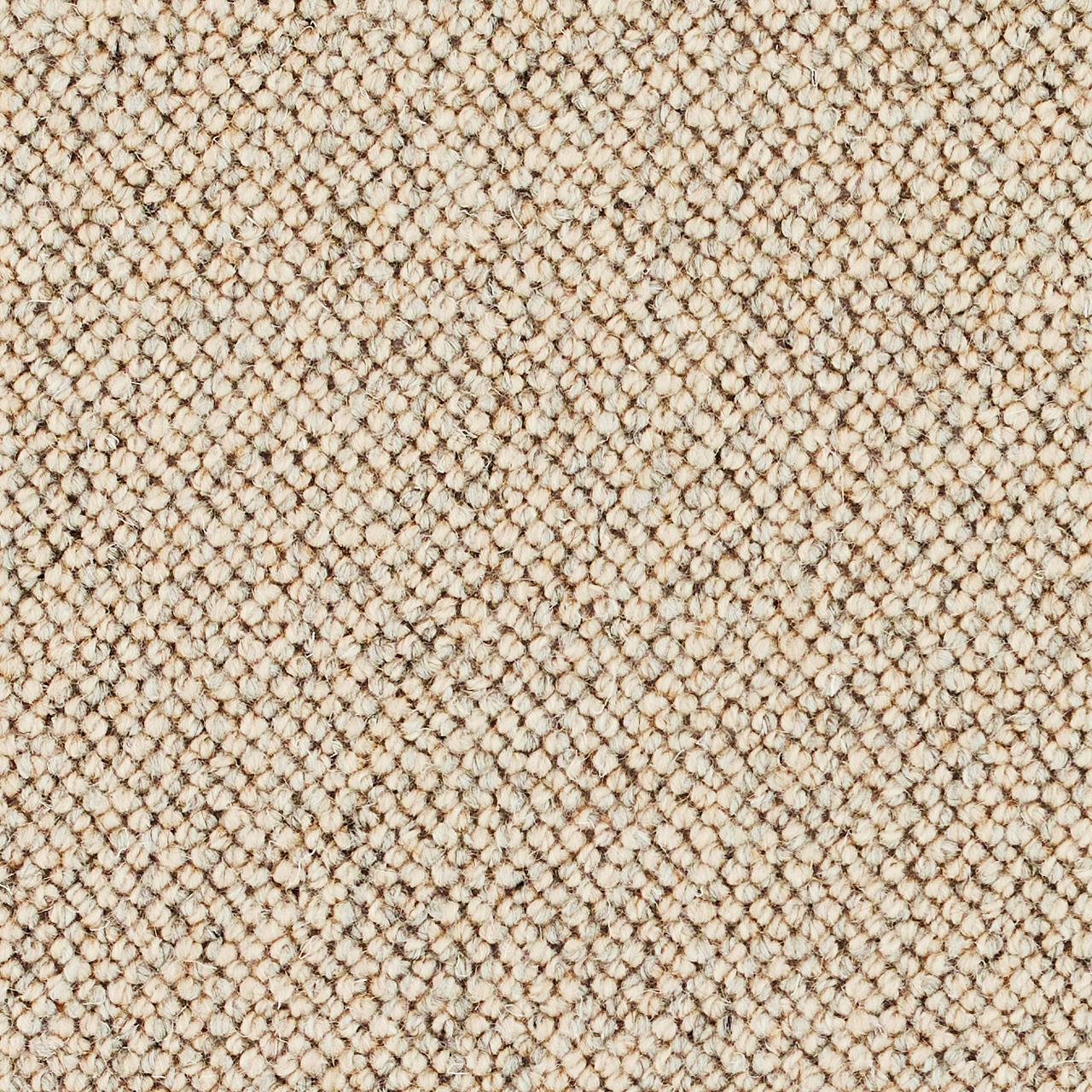 Trail in Discovery | Brockway Carpets