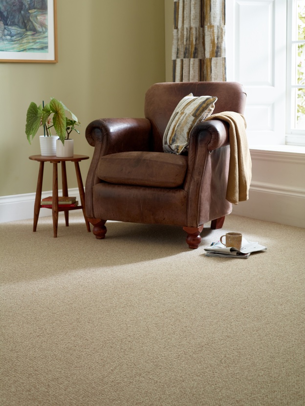 A NEW Discovery | Brockway Carpets