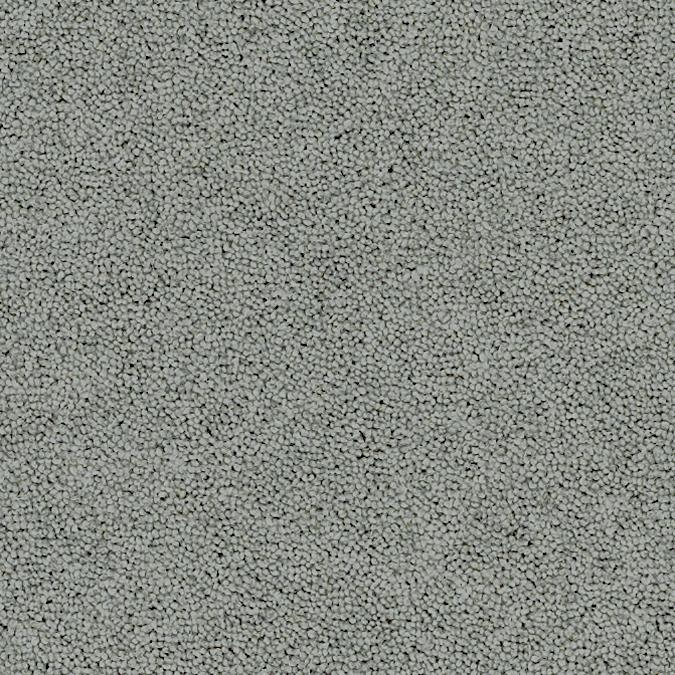 River Dove in Rosedale | Brockway Carpets