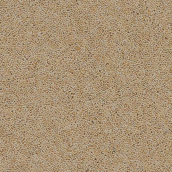 Habton in Rosedale | Brockway Carpets