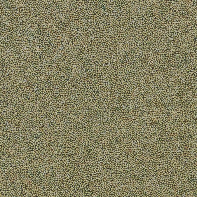 Loose Howe in Rosedale | Brockway Carpets